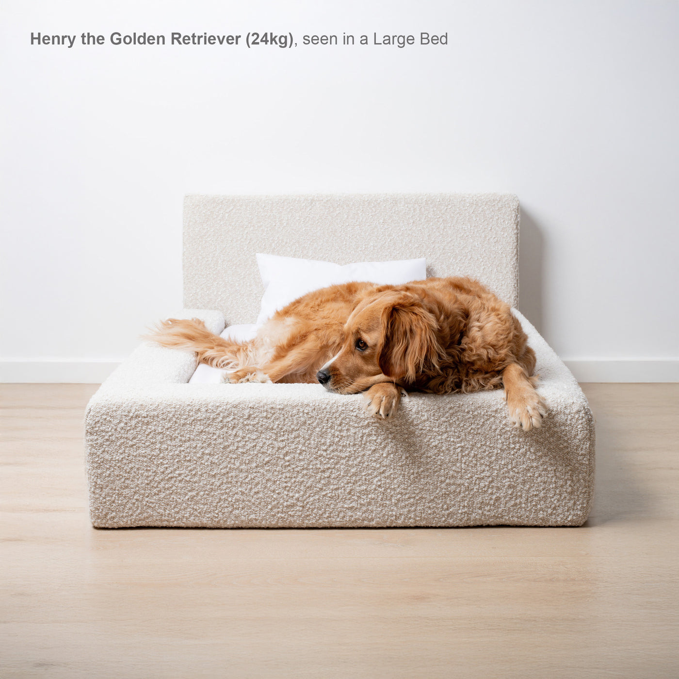 Marshmallow Dog Bed - Large in Boucle, Cream - Ineshi