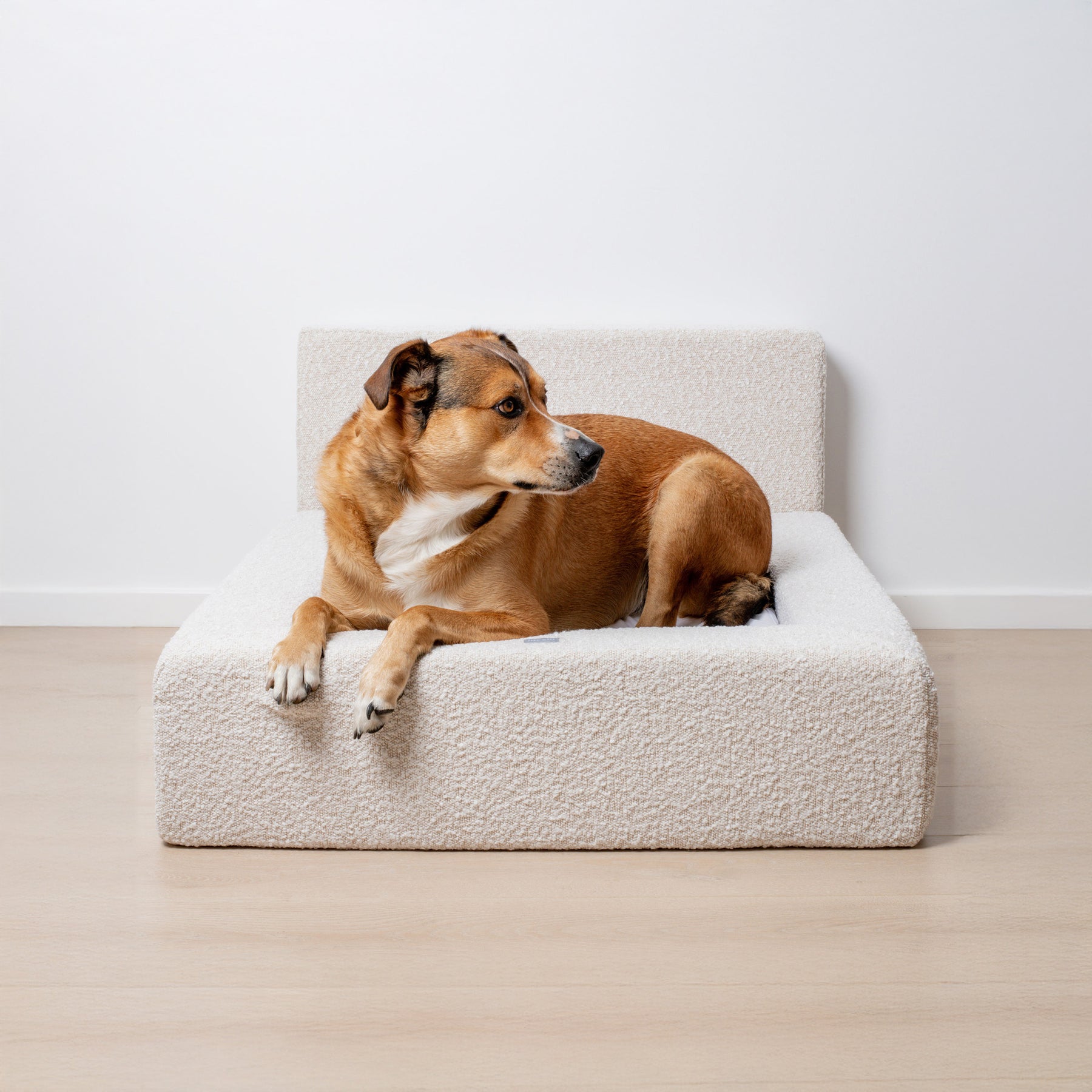 Marshmallow Dog Bed - Large in Boucle, Cream - Ineshi