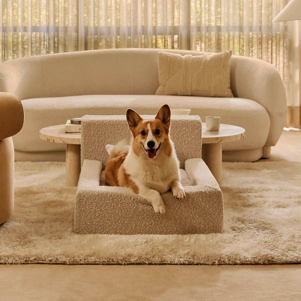 Marshmallow Dog Bed - Medium in Boucle, Cream - Ineshi